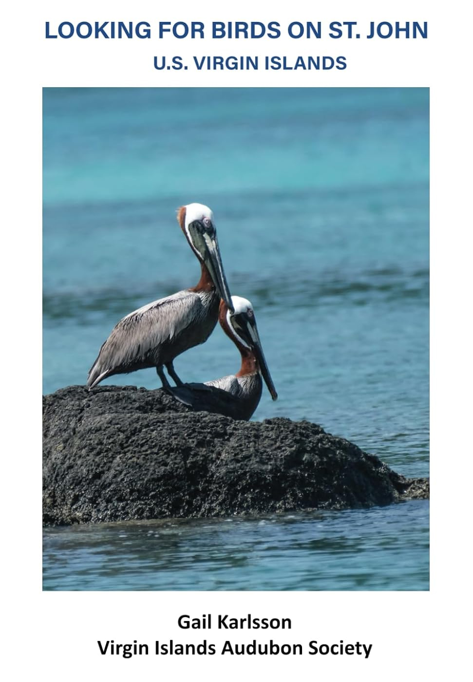 WILDLIFE - ST. JOHN, U.S. VIRGIN ISLANDS